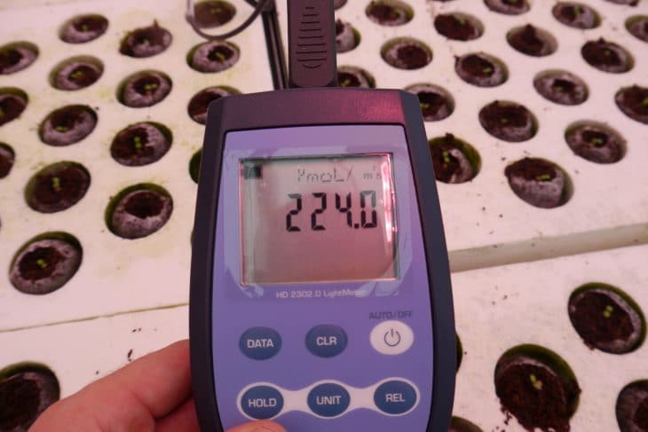 Daily Light Integral (DLI): lighting introduction - Horti Generation