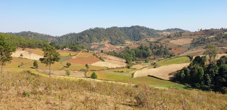 Traditional agriculture in Myanmar (Burma) - Horti Generation