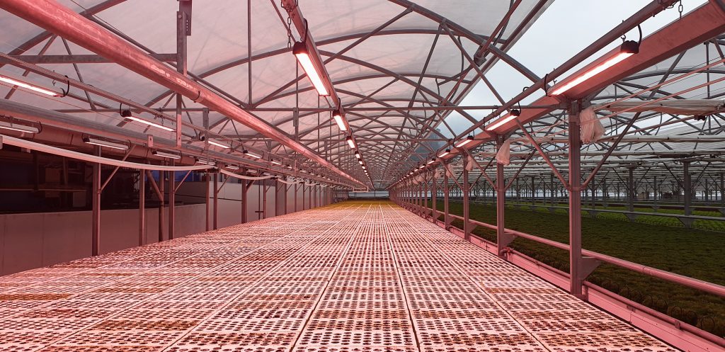 Daily Light Integral interactive tool for United States, Europe and the ...