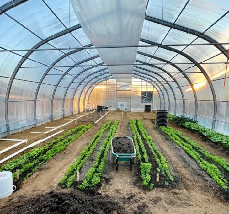 A freestanding greenhouse to be food self-sufficient - Horti Generation