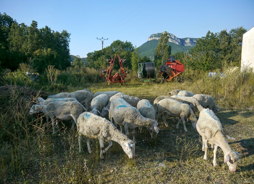 A diversified organic farm on a human scale - Horti Generation