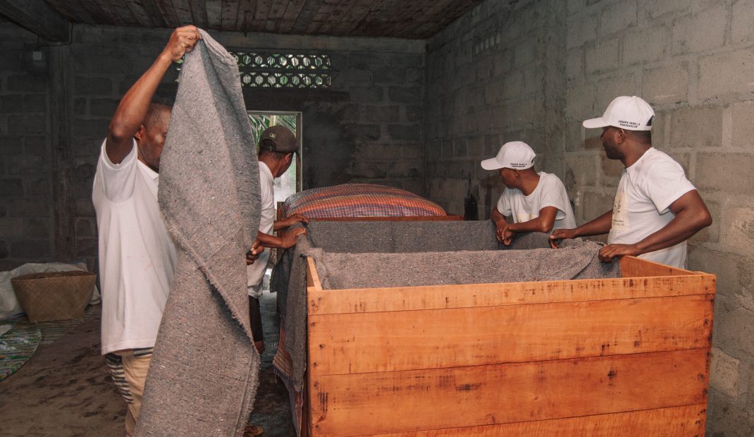 Traditional cultivation of bourbon vanilla beans in Madagascar - Horti ...