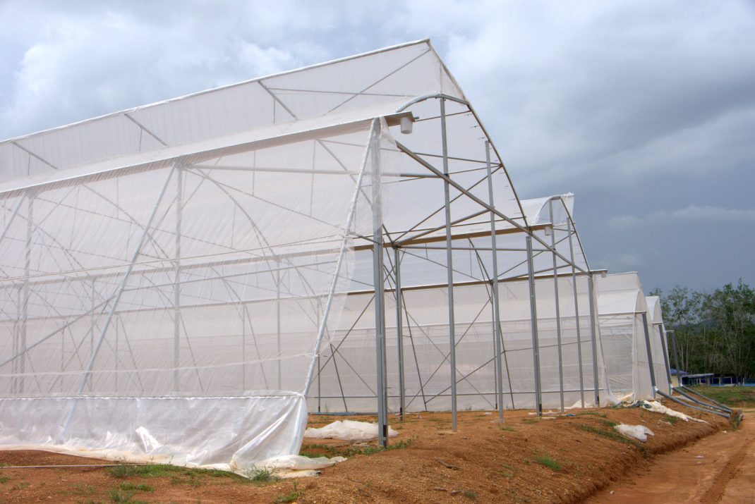 10 steps to build a tropical greenhouse - Horti Generation