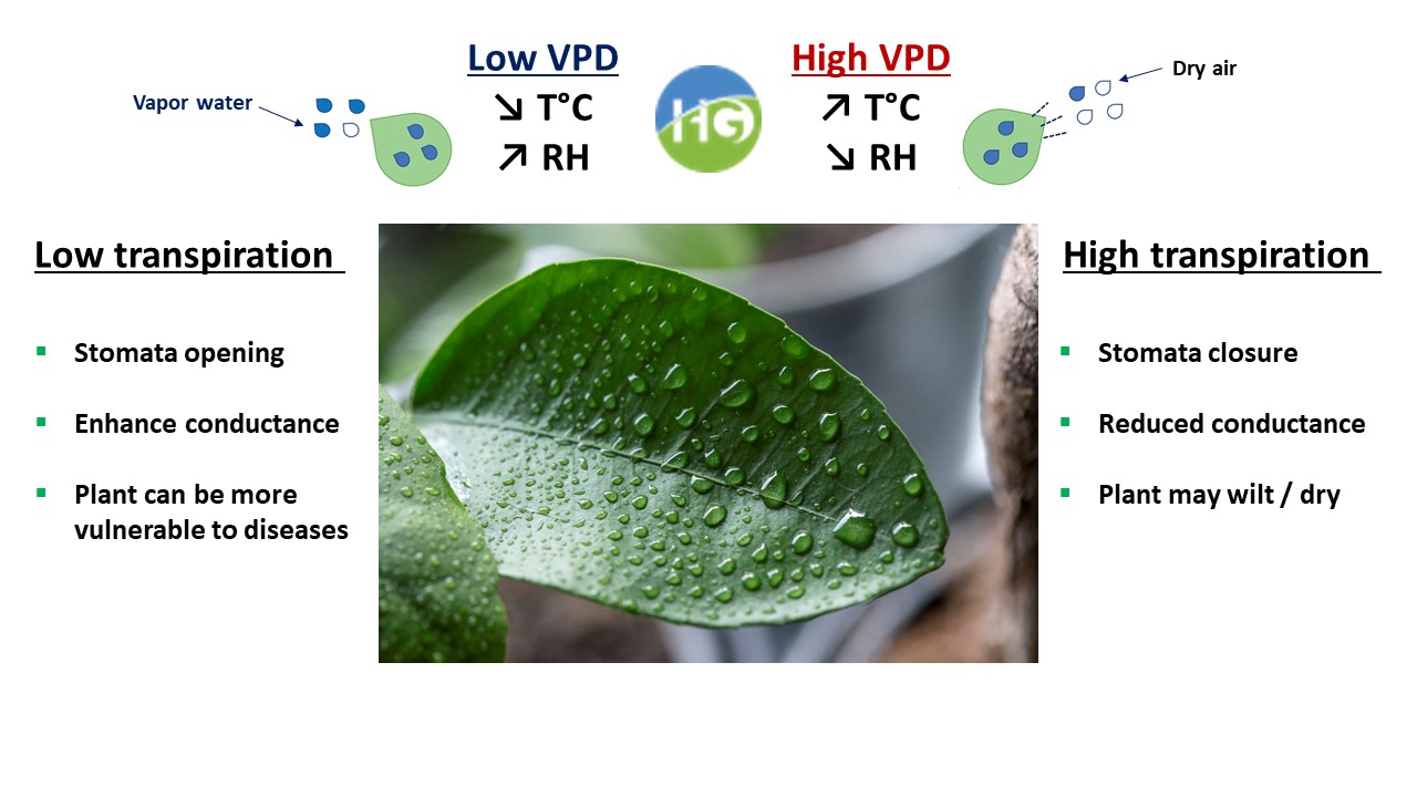 Why the Vapor-Pressure Deficit (VPD) is an essential indicator to ...