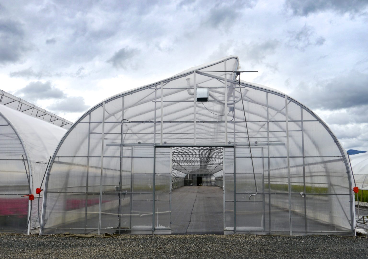 7 reasons to have a greenhouse with a Gothic design - Horti Generation