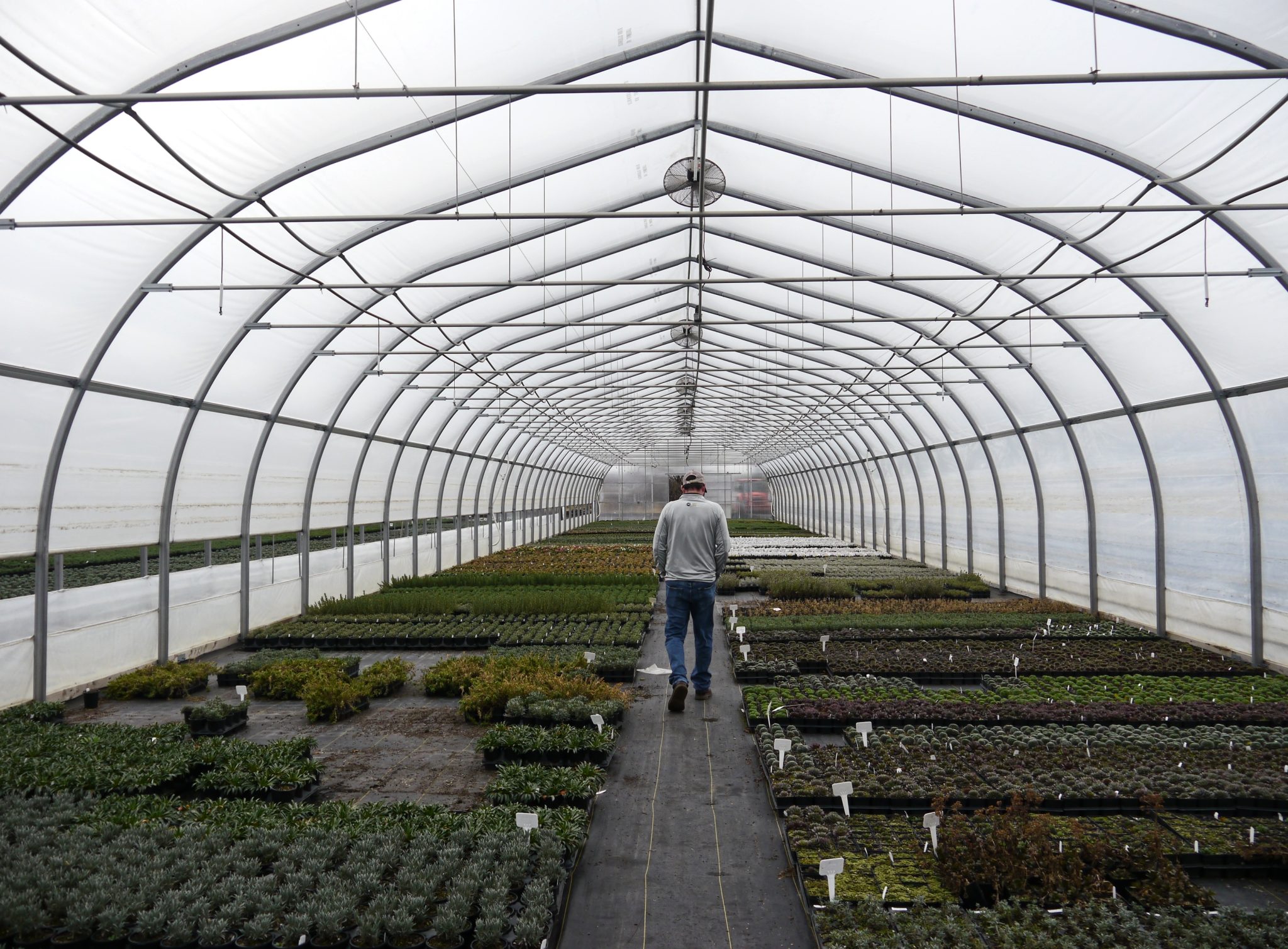 7 reasons to have a greenhouse with a Gothic design - Horti Generation