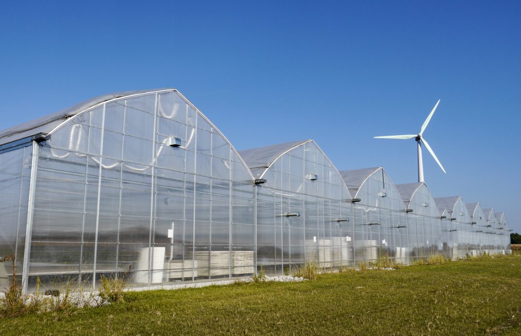 Greenhouse cultivation: plant protection and water saving - Horti ...