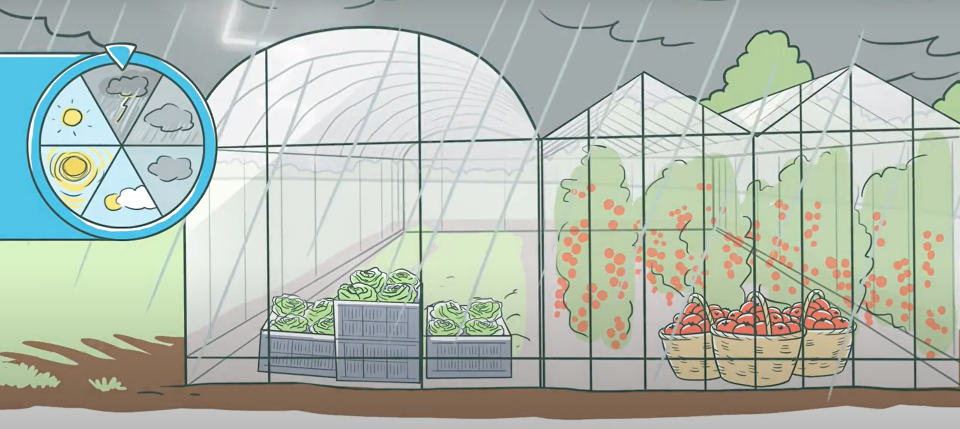 Greenhouse cultivation: plant protection and water saving - Horti ...
