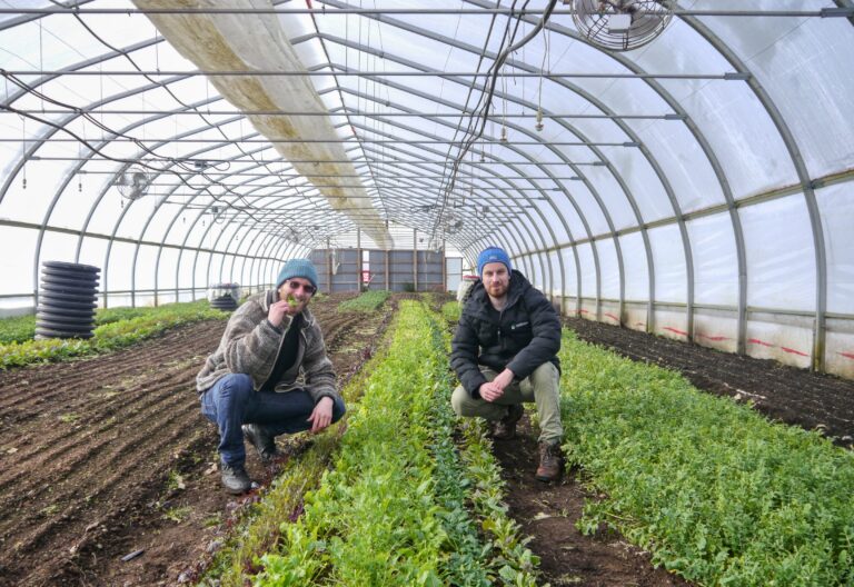 Climate-battery energy savings low tech greenhouse system - Horti ...