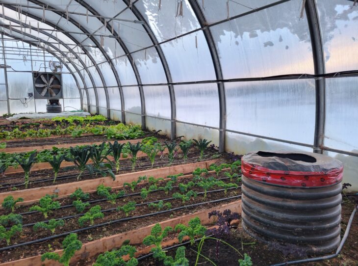 Photo report: Climate battery greenhouse for Institutional projects ...