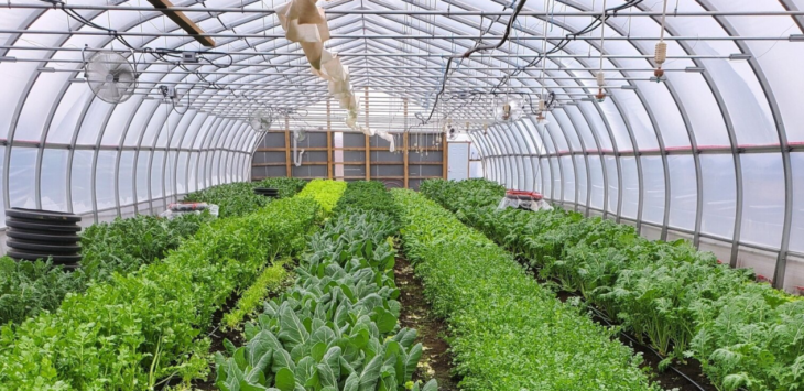 Climate-battery energy savings low tech greenhouse system - Horti ...