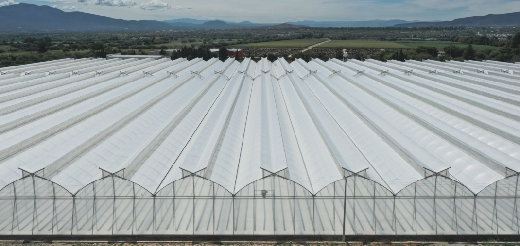 Polyethylene Covered Greenhouse vs. Glass House - Horti Generation