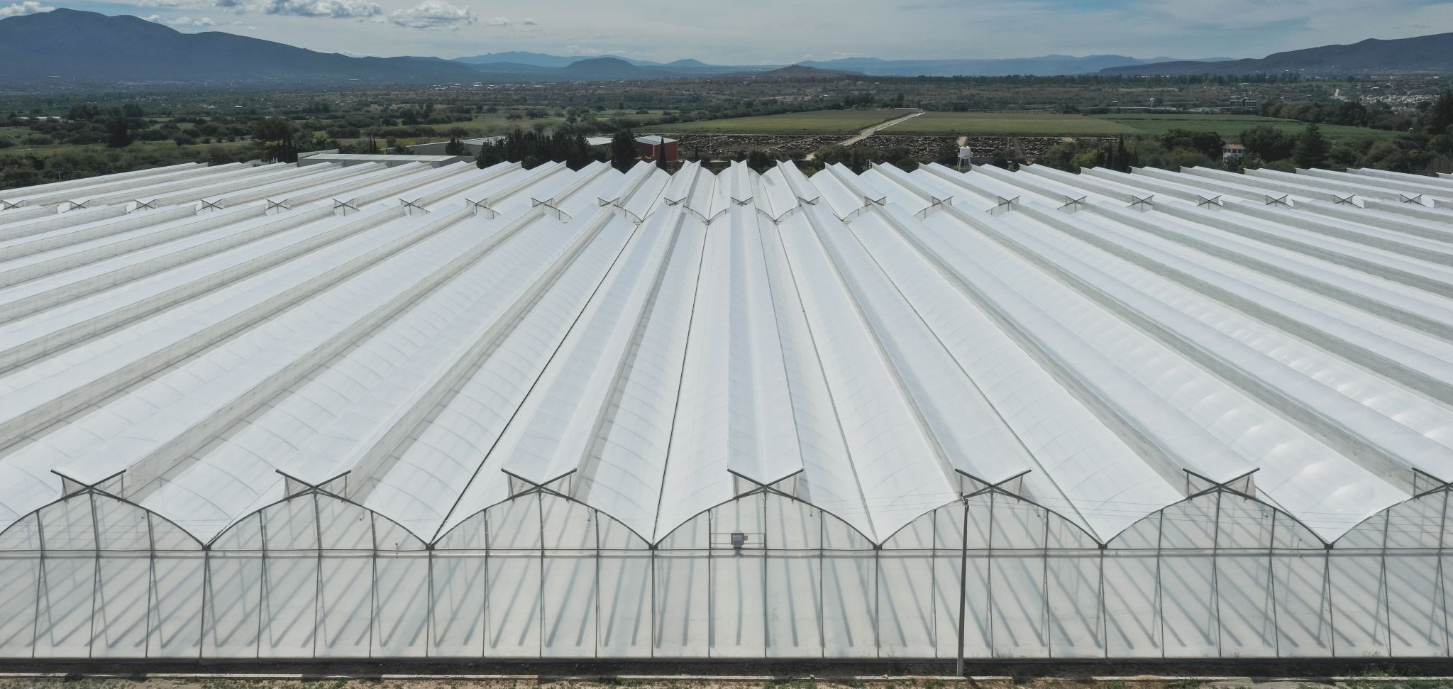 Polyethylene Covered Greenhouse vs. Glass House - Horti Generation