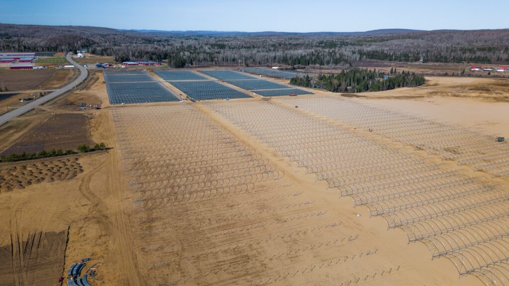 High Tunnels for Berry Growers — Quality, Value & Performance You Can ...